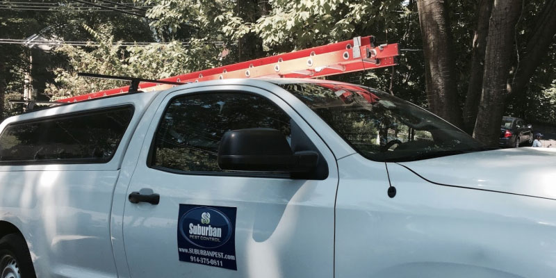 Learn What Makes Us Different | Suburban Pest Control